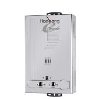 China Stainless Steel Panel LPG NG Type 10L 2.64GPM Gas Water Heater for sale
