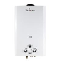 China LPG NG Instant Gas Water Heater White Powder Painting Panel 10L for sale