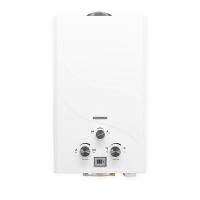 China Household Wall Mounted 10L Instant Gas Geyser Tankless Water Heater for sale