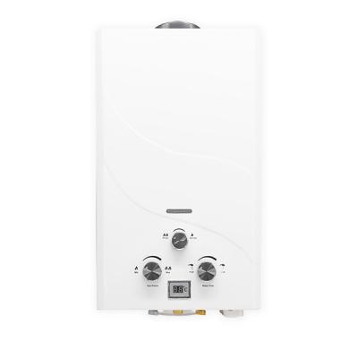 China Household Wall Mounted 10L Instant Gas Geyser Tankless Water Heater for sale