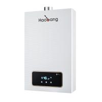 China Saving Water Heater White Household LPG NG with Digital Display Screen for sale