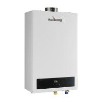China Instantaneous Controller Ignition Balanced Flue Gas Water Heater for sale