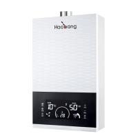 China Balanced Constant Temperature LPG NG 10L Digital Display Room Used Water Heater for sale