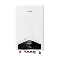 China Affordable Balanced Flue Gas Water Heater 220V-240V/50Hz 80W for Business for sale