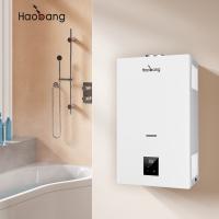 China White Panel Color Gas Water Heater Featuring Impulse Ignition Method for sale