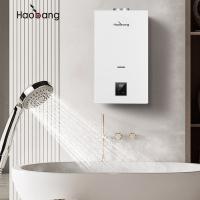 China 80°C Thermostat Settings Flue Gas Water Heater with Silk Screen Printing Logo and 1% Free Spare Parts for sale