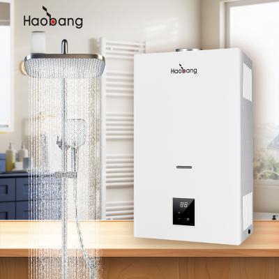 China Wall Mounted Flue Gas Water Heater With Flue Exhaust And Optional Protection for sale