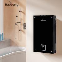 China Customizable LPG Gas Water Heater With Flue Exhaust Wall Mounted for sale