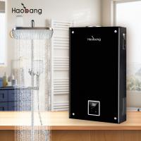 China Household Flue Gas Water Heater with Metal Panel and Water Pressure Start 0.02Mpa-0.8Mpa for Energy-Saving Performance for sale