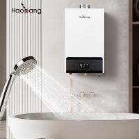 China Gas Heating Method And Silk Screen Printing Pattern Forced Exhaust Gas Water Heater for sale