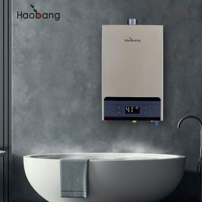 China Optional Protection Forced Exhaust Gas Water Heater With Oxygen Free Copper Heat Exchanger And ±0.5 C Water Temperature Deviation for sale