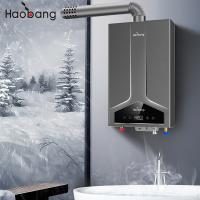 China 110V-220V Electrical Voltage Balanced Flue Water Heater with Intelligent Type and Oxygen-free Copper Heat Exchanger for sale