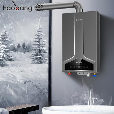 China 110V-220V Electrical Voltage Balanced Flue Water Heater with Intelligent Type and Oxygen-free Copper Heat Exchanger for sale