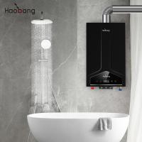 China Panel Magnetism Stainless Steel With Magnet Instant Gas Water Heater Oxygen-free Copper Heat Exchanger for sale