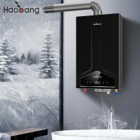 China Lower Inlet And Upper Inlet Balanced Flue Water Heater With Stainless Steel Panel Magnetism And Door-to-Door Delivery for sale