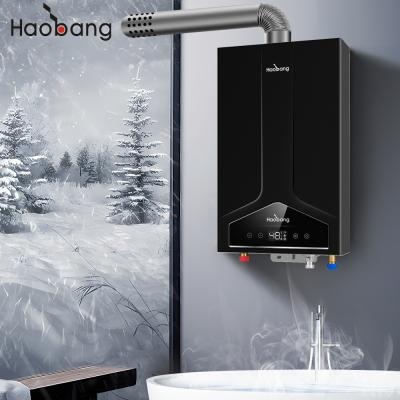 China Lower Inlet And Upper Inlet Balanced Flue Water Heater With Stainless Steel Panel Magnetism And Door-to-Door Delivery for sale