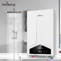 China Lower Inlet And Upper Inlet Water Outlet Method Balanced Flue Gas Water Heater with Customization Configuration for sale