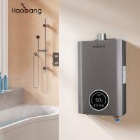 China Saving-Energy Forced Exhaust Gas Water Heater Energy-Saving Saving-Energy 0.02-0.8Mpa Temperature Protection 176°F for sale