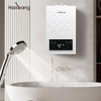 China Affordable And Durable Forced Exhaust Gas Water Heater 10L Capacity 60MM Flue Dimension for sale