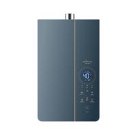 China 21kW Heat Output Power Forced Exhaust Gas Water Heater 10L Capacity for Flexible Installation for sale