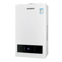 China G.W 37.5 Kg Gas Boiler With 24KW Heating Efficiency And 6L Expansion Tank for sale