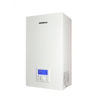 China Industrial Grade Natural Gas Boiler with 2.54m3/h Gas Flow 24KW Heating Efficiency for sale