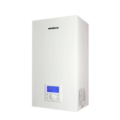 China Industrial Grade Natural Gas Boiler with 2.54m3/h Gas Flow 24KW Heating Efficiency for sale