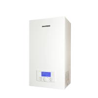 China Gas Boiler Gas Working Pressure 1500-3000 Pa Rated Gas Pressure 2000 Pa Max Electric Power 98W Customers for sale