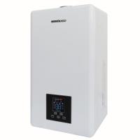 China Energy Saving Gas Boiler For Kitchen / Bathroom Rated Gas Pressure 2000 Pa Long-Lasting Performance for sale