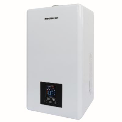 China Energy Saving Gas Boiler For Kitchen / Bathroom Rated Gas Pressure 2000 Pa Long-Lasting Performance for sale