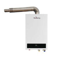 China 10L Forced Exhaust Gas Water Heater CE Certified Wall Mounted for sale