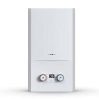 China 20L Flue Type Tankless Gas Water Heater LPG NG Wall Mounted for sale