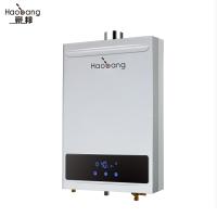 China 10L Forced Exhaust Gas Water Heater Wall Mounted Stainless Steel for sale