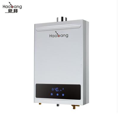 China 10L Forced Exhaust Gas Water Heater Wall Mounted Stainless Steel for sale