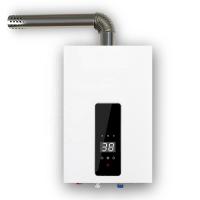 China 12 Liter Household Gas Water Heater with 0.02MPa-0.8MPa Water Pressure and IPX2 Waterproof Flue Gas Water Heater for sale