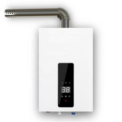 China 12 Liter Household Gas Water Heater with 0.02MPa-0.8MPa Water Pressure and IPX2 Waterproof Flue Gas Water Heater for sale