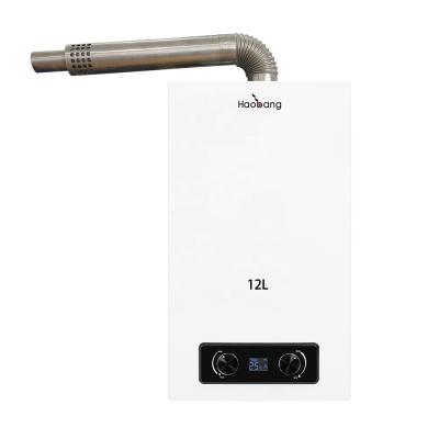China 16L 18L 220V Wall Mounted Balanced Exhaust Gas Water Heater for Household and Commercial Use for sale