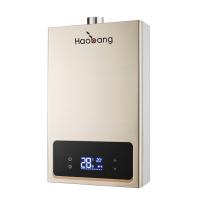 China 220V Tankless Gas Water Heater with 0.015Mpa-0.8MPa Water Pressure Start and Over 89% Heat Efficiency for sale