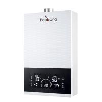 China Wall Mounted Flue Gas Water Heater with LED Display Copper Heat Exchanger and Over 90% Heat Efficiency for sale