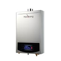 China High Energy Efficiency Thermostat Constant Temperature App-Controlled Flue Gas Water Heater and LPG Water Heater for sale