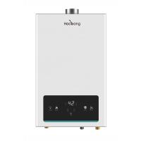 China Electric and Gas Powered IPX2 Waterproof Flue Gas Water Heater for Hotel Garage Household Use for sale