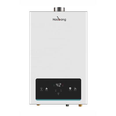 China Electric and Gas Powered IPX2 Waterproof Flue Gas Water Heater for Hotel Garage Household Use for sale