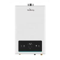 China 12L Instant Flue Gas Water Heater with Touch Panel Control Free Spare Parts and Coating Panel for sale