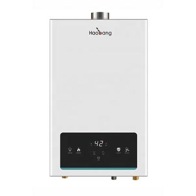 China 12L Balanced Type Gas Geyser with Touch Panel Control for Household Flue Gas Water Heater for sale