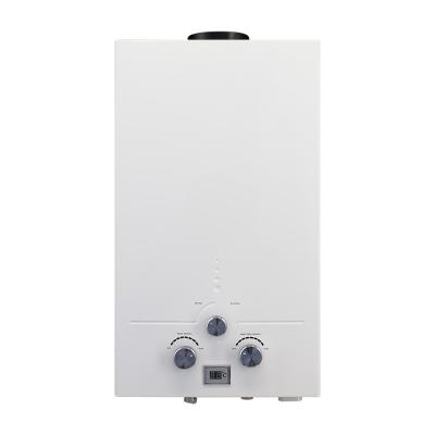 China Wall Mounted Flue Gas Water Heater with Oxygen-free Copper Heat Exchanger and Temperature Stability Fluctuation Less Than 2 Degrees Celsius for sale