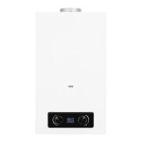 China G1/2 Inch Connection Size Tankless Gas Water Heater With Chimney 90 to 110 Millimeters Ideal for Space Saving Water Heating Solutions for sale