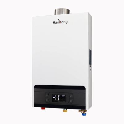 China Natural Gas Direct Vent Gas Water Heater 220V Commercial Industrial Water Heating Equipment with Consistent Performance for sale