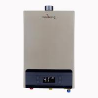 China Shower Hot Water Forced Vent Gas Water Heater Incorporating Energy Efficiency Robust Construction Perfect For Commercial for sale