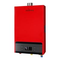 China Forced Exhaust Direct Vent Gas Water Heater Operating on Natural Gas and LP Gas Offering Heating Solutions for Businesses for sale