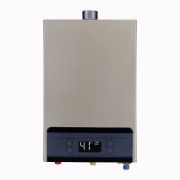 China 50MM Flue Dimension Gas Water Heater with LED Displayer Optional Offering Precise Temperature Control and Safety Features for sale